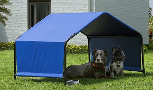 8 Must-Have Ideas for Your Kennel’s Dog Run