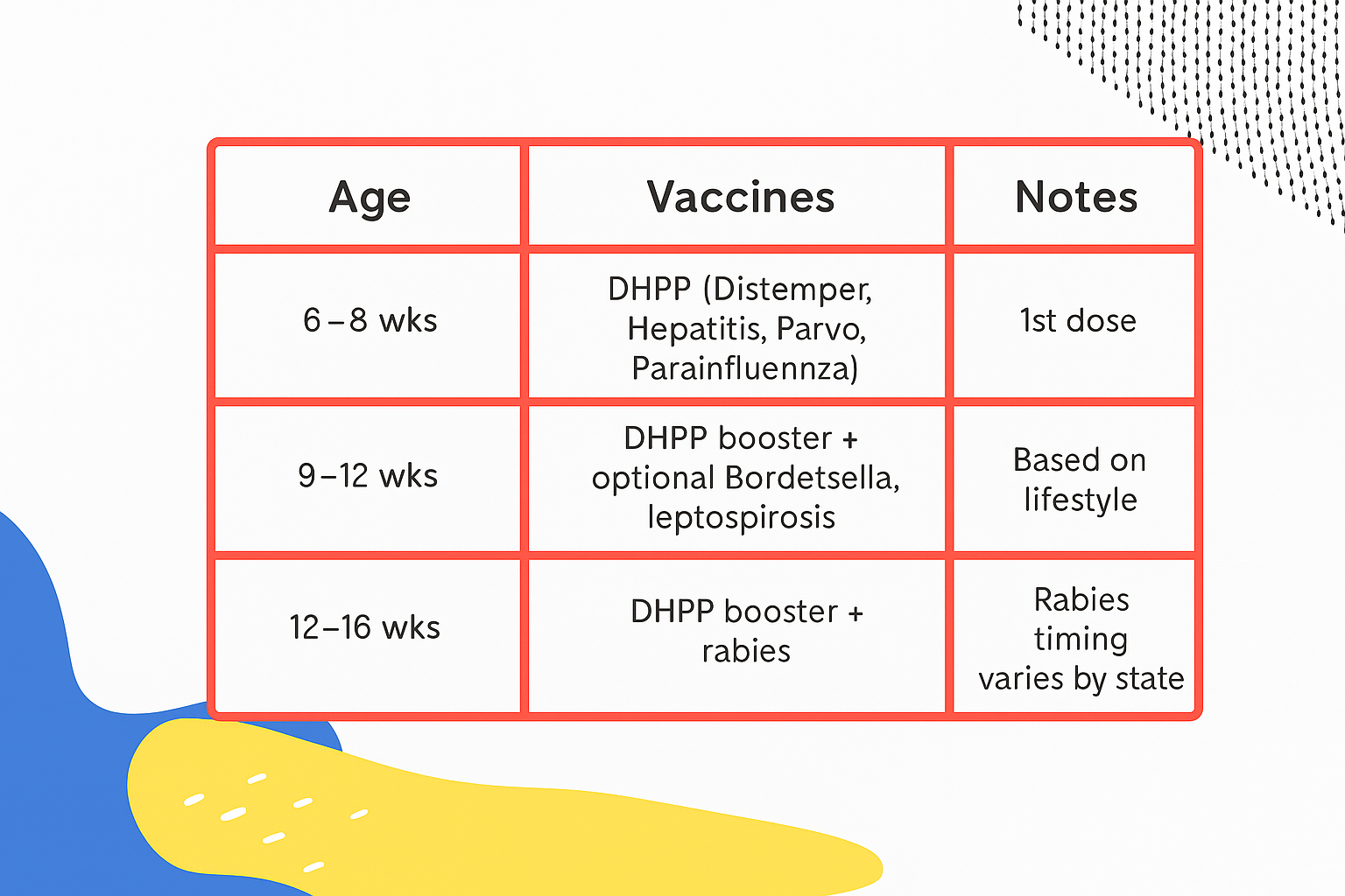 From Puppy to Senior: How Vaccine Needs Change Over a Dog's Life