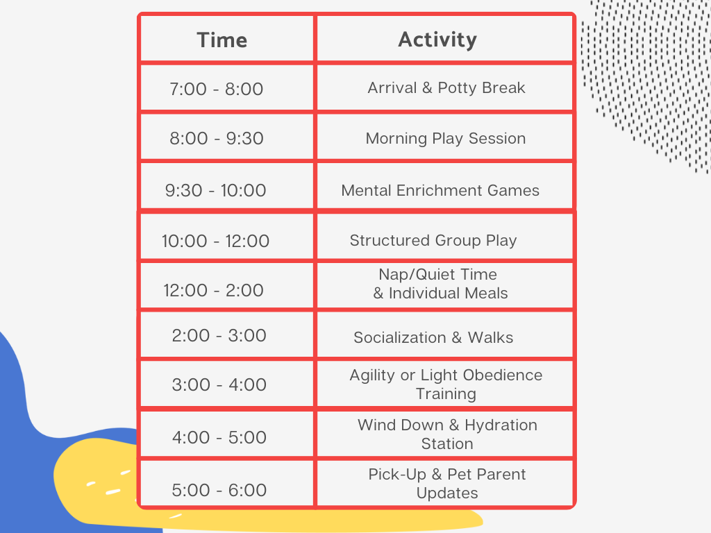 The Best Daily Schedule for High-Energy Dog Daycares | Gingr