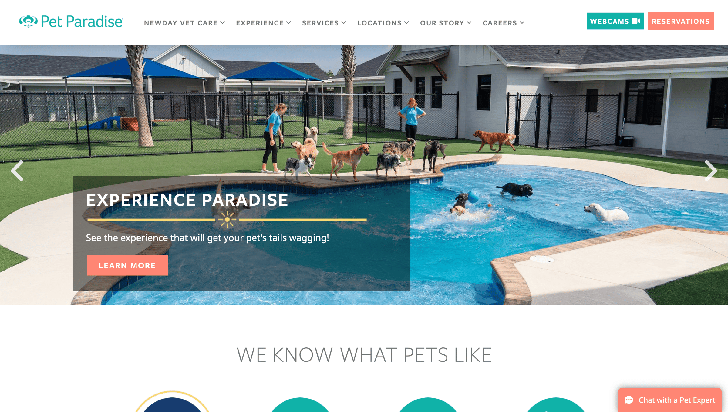 7 Dog Boarding Website Tips, Strategies, and Must-Haves