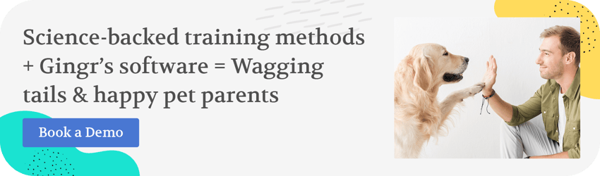 How Do Dogs Learn? A Deep Dive Into Canine Learning