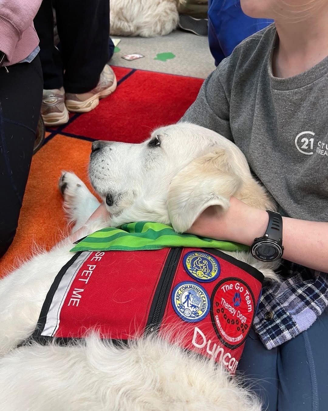 National Therapy Animal Day: The Role of Therapy Dogs