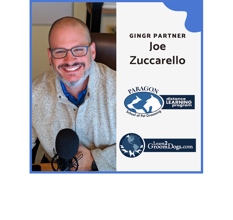 Gingr Partner Joe Zuccarello