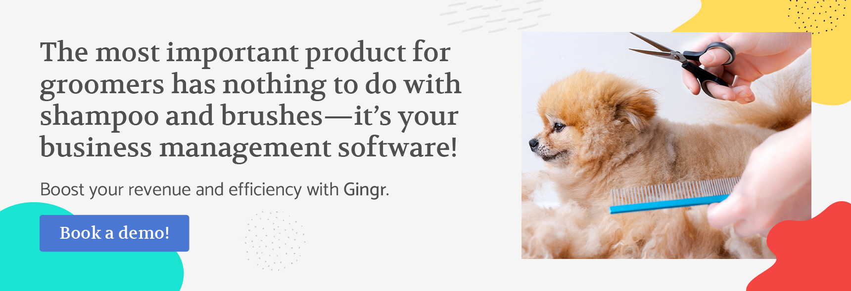 15 Practical Pet Grooming Tools Recommended by the Pros