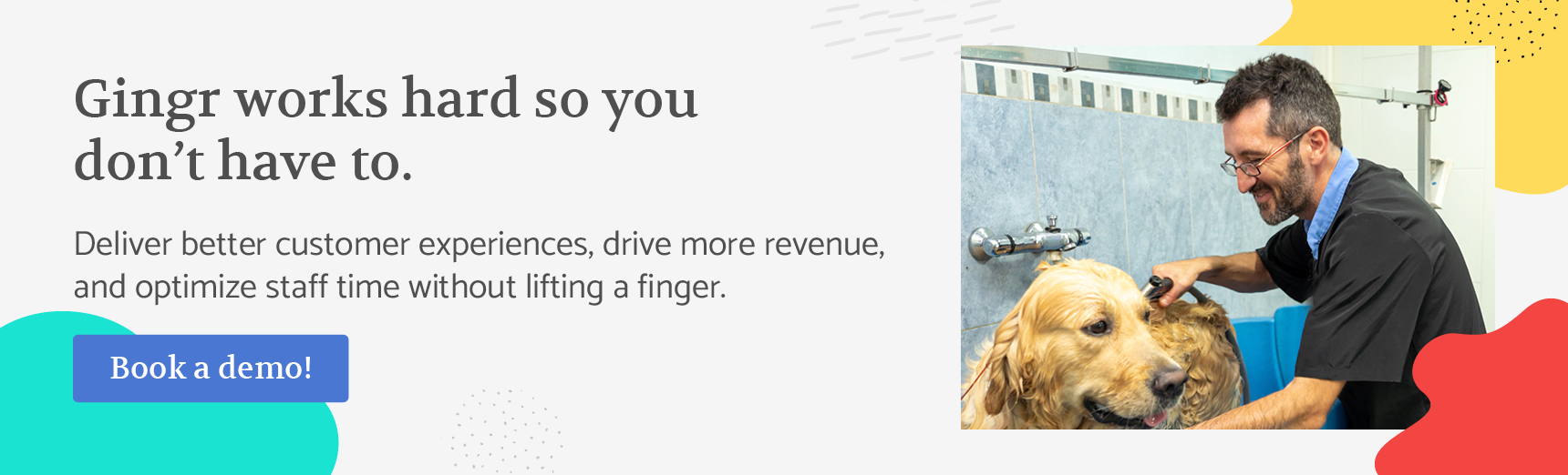 15 Practical Pet Grooming Tools Recommended by the Pros