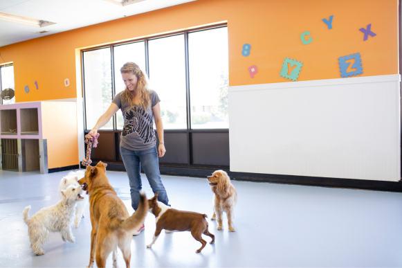 Navigating the Logistics of a Multi-Location Pet Business