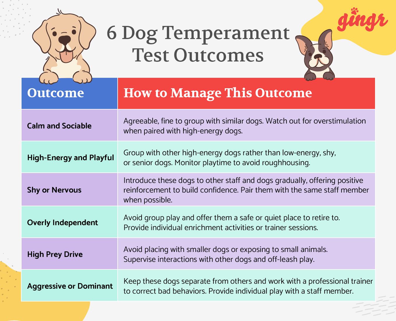 Temperament Test for Dogs: A Guide for Dog Daycare Owners