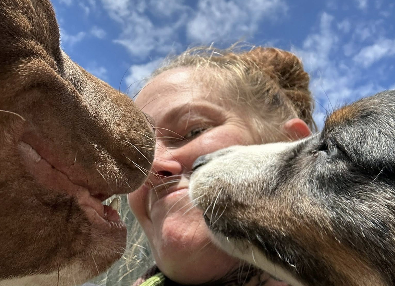 Planet Pup Customer Success Story | Gingr
