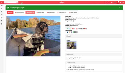 Streamline Scheduling with Pet Booking Software | Gingr