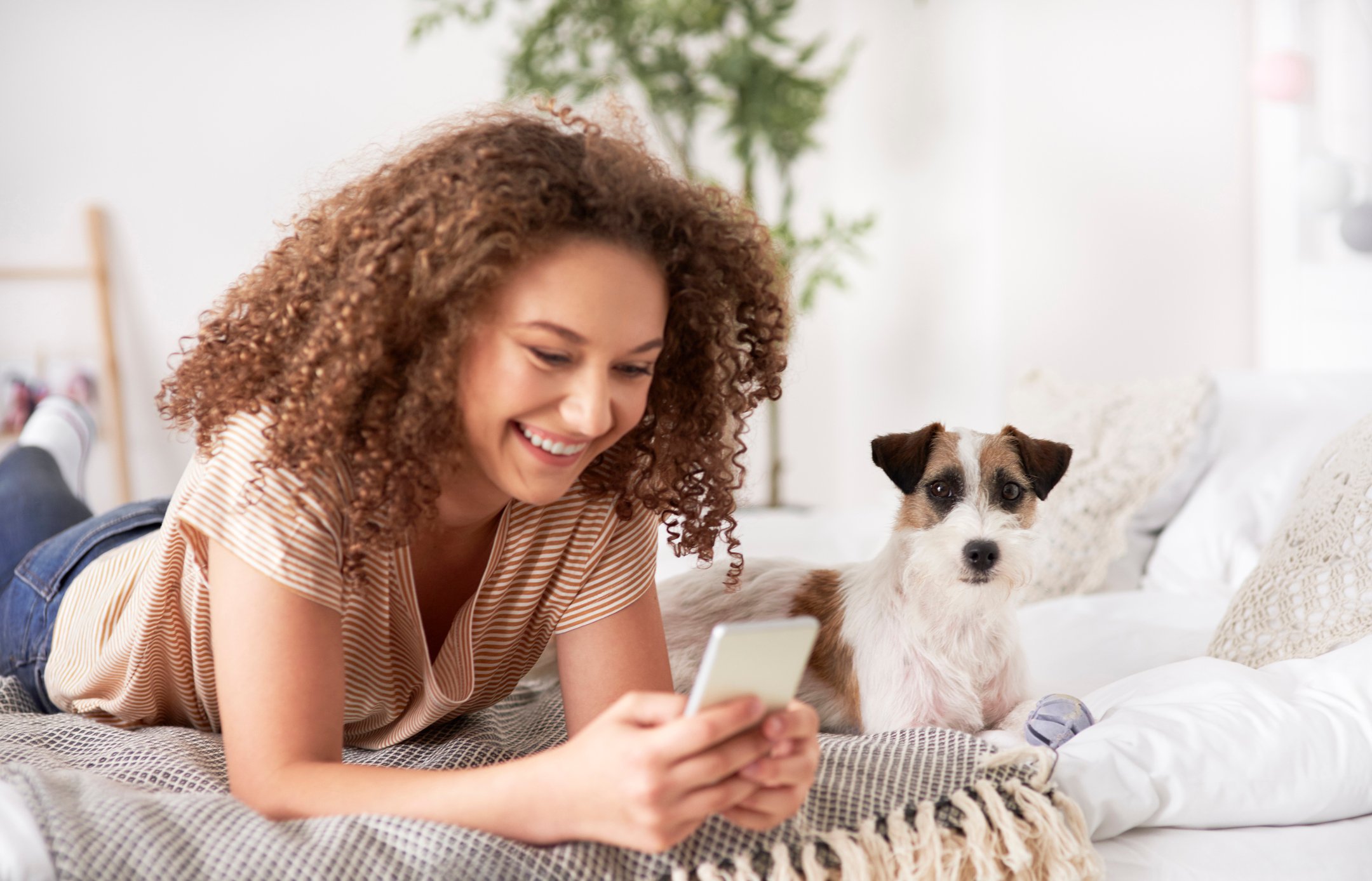 The Top Software For Multi-Location Pet-Care Businesses