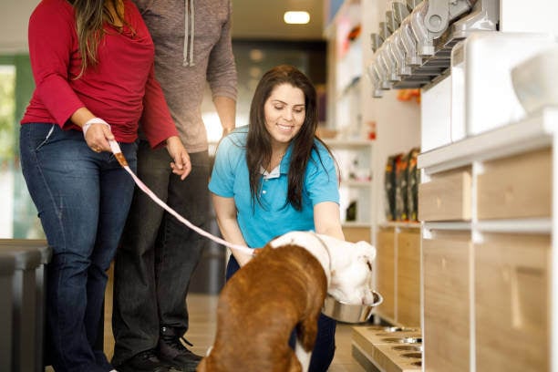 Effective Customer Retention Tactics for Dog Daycares