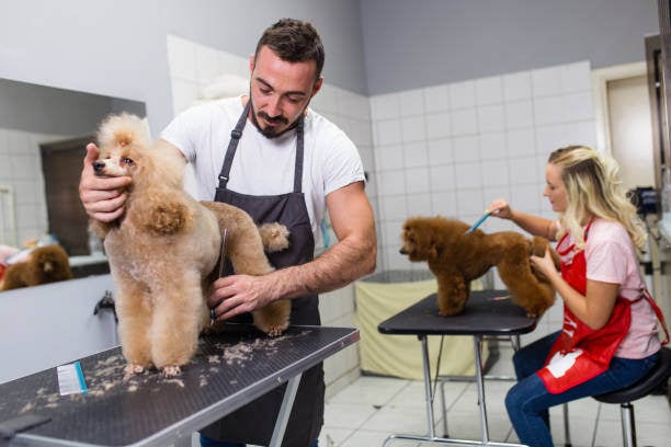 The Benefits of Offering Multi-Pet Discounts at Your Pet Facility