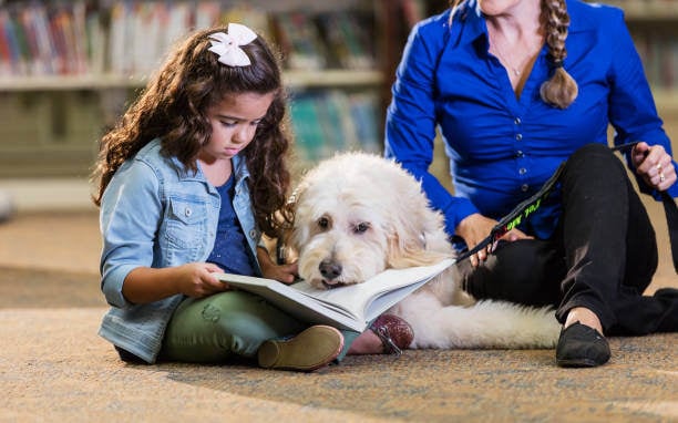 The Ultimate Dog Bucket List: Fun Activities Every Pup Should Experience
