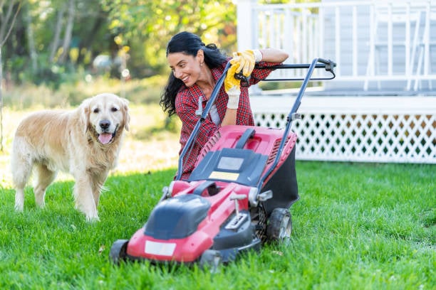 Spring Cleaning Tips for Your Pet Facility