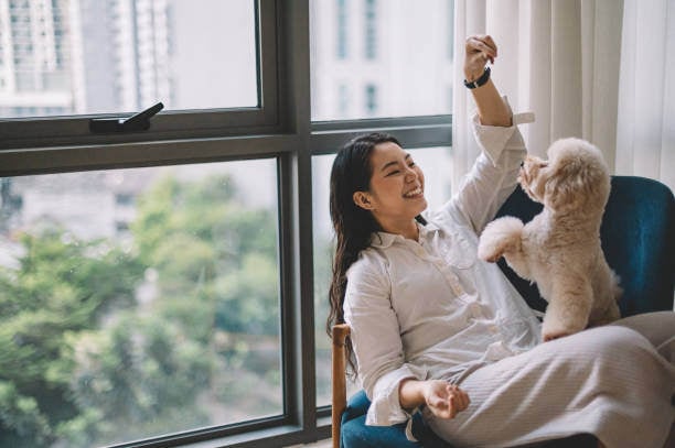 Dog Breeds as Zodiac Signs