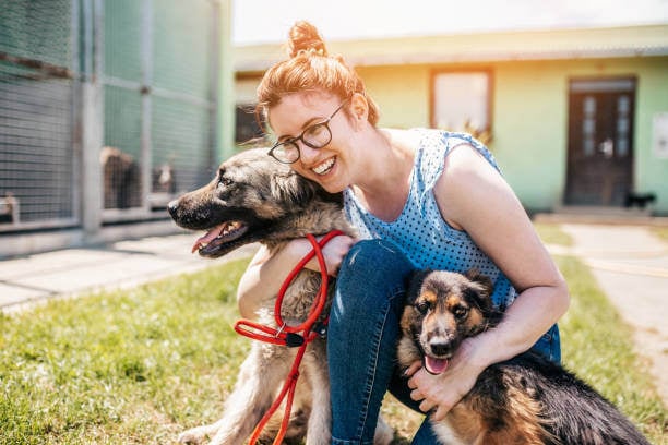 Utilizing Volunteers at Your Pet-Care Business