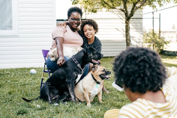 The Ultimate Dog Bucket List | Gingr