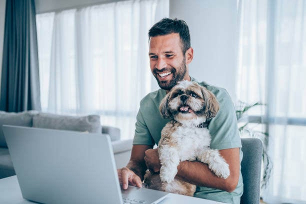Using Customer Reviews to Improve Your Dog Boarding Business | Gingr
