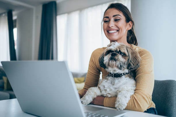 Market Your Pet Business With Interactive Social Media Posts