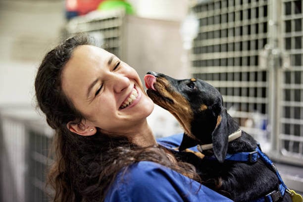 Defining Pet-Care Staff Roles and Responsibilities