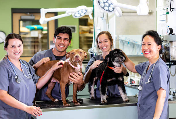 Building a Strong Team Culture in Your Pet-Care Business