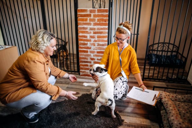 Key Strategies for Staff Training in Pet-Care Businesses