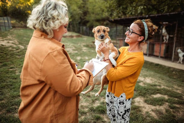 Centralized Marketing Tactics for Multi-Location Pet Businesses