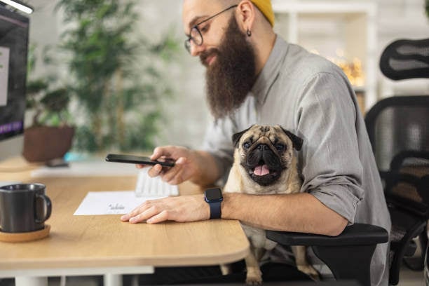 Why Accepting Multiple Payment Methods Is Essential for Pet-Care Businesses