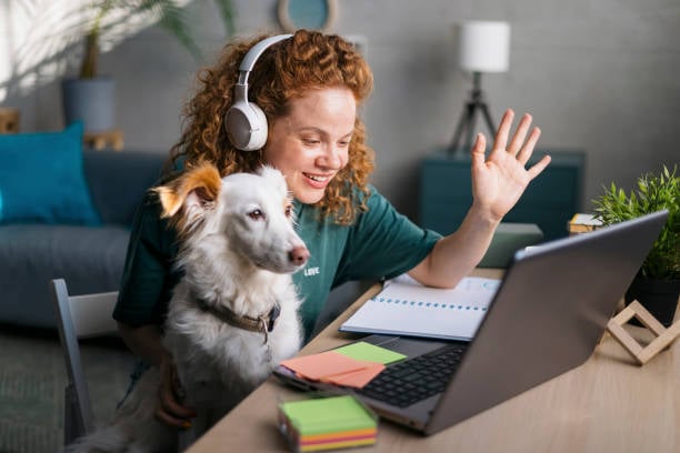 The Rise of Virtual Dog Training