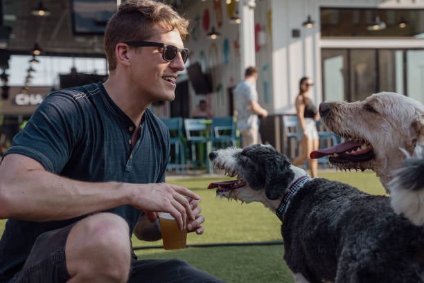 Unleash the Fun: Dog Day Deals and Ideas to Spoil Your Pups | Gingr