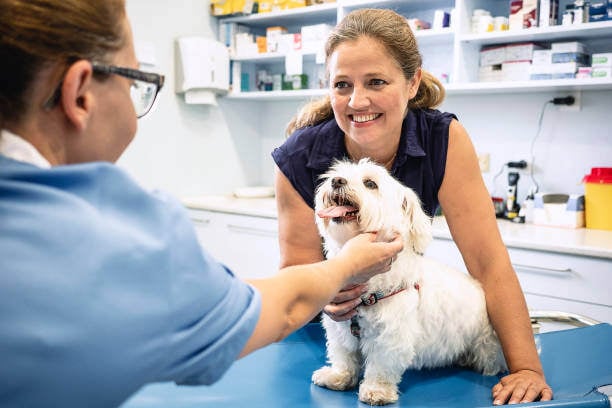 Defining Pet-Care Staff Roles and Responsibilities