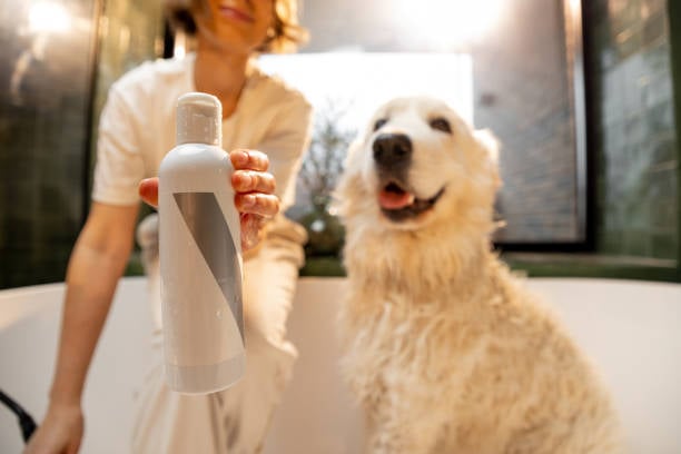 Make Retail Integration for Pet Grooming Simple at Your Salon | Gingr