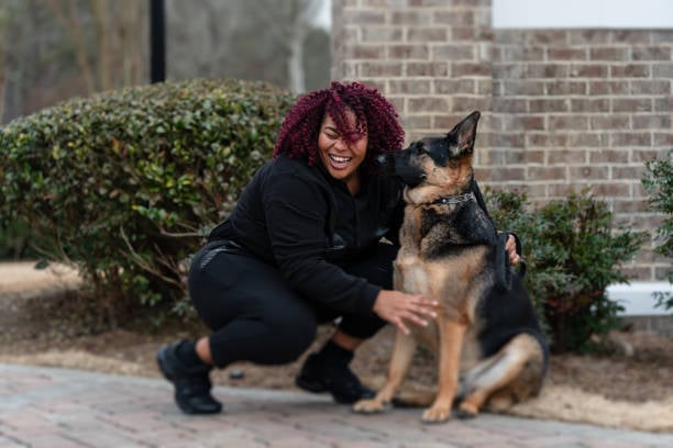 Streamlining the Check-In Process with Dog Trainer Software | Gingr