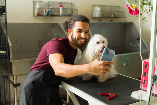 Software for Pet Grooming Businesses: What to Look For