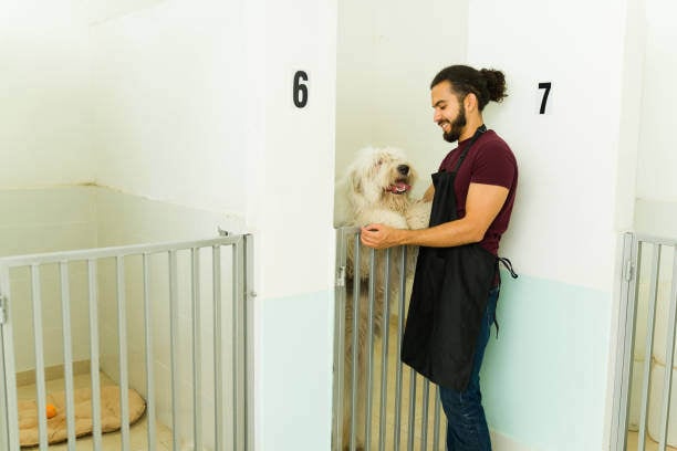 Staff Management Tactics for Multi-Location Pet-Care Businesses