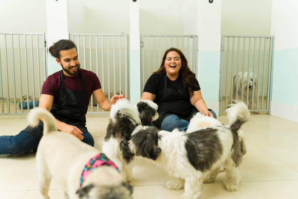 Starting a Dog Daycare: Everything You Need to Know