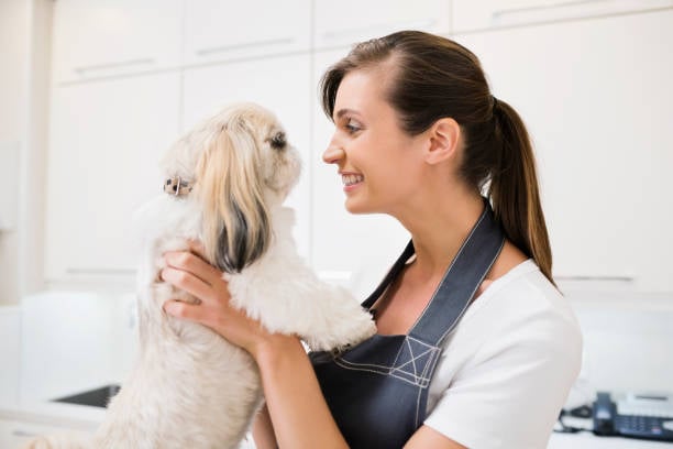 Fluff-tastic: Preparing Your Dog for Their First Grooming Appointment