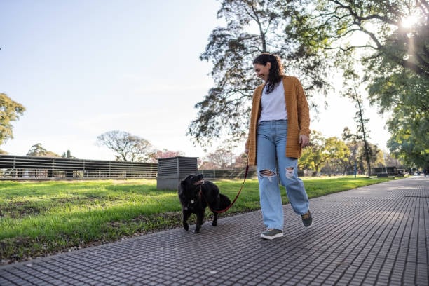 Walk Your Pet Month: How Walks Benefit Pets and Humans Alike