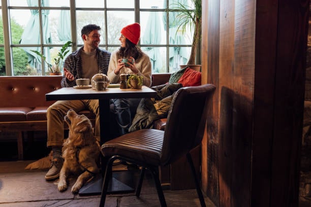 Winter Dog Bar Business Ideas | Gingr