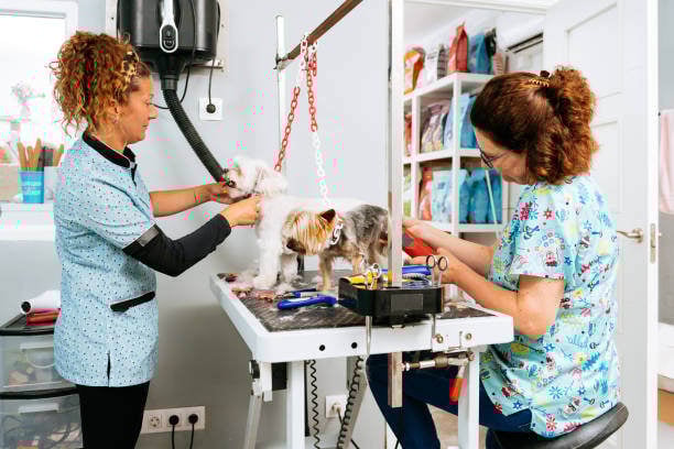 7 Industry Secrets for Managing Large Pet-Care Businesses