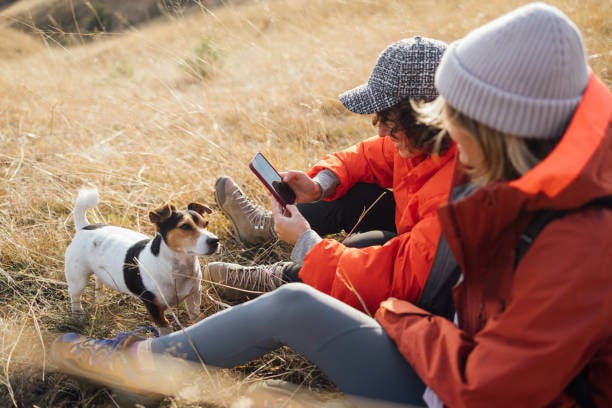 Market Your Pet Business With Interactive Social Media Posts
