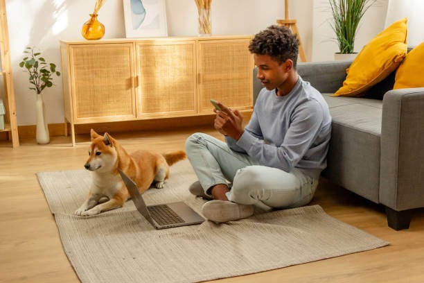 Best Practices for Cross-Promoting Pet Business Services