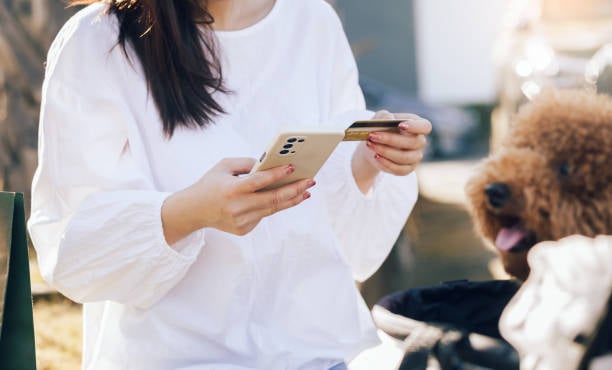 Payment Processing with Gingr: Key Features and Benefits