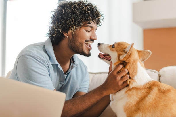 Utilizing Data to Personalize Pet-Care Services and Improve Retention
