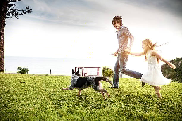 International Pet-Care Practices: Learning from Abroad