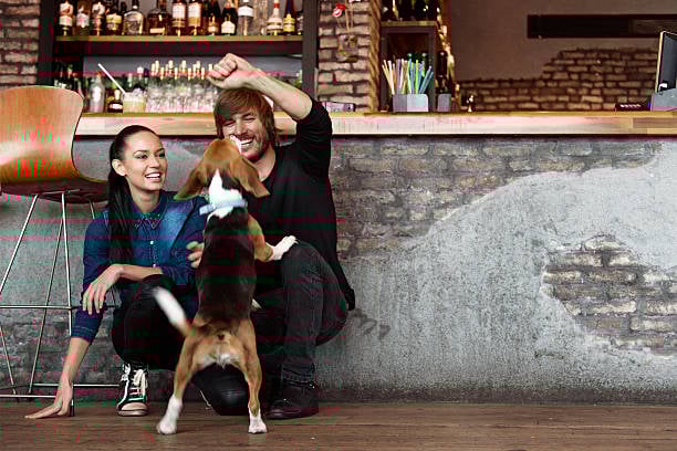 5 Unique Dog Bar Concepts That Are Redefining The Pooch Business World