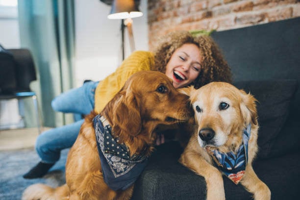 The Benefits of Offering Multi-Pet Discounts at Your Pet Facility