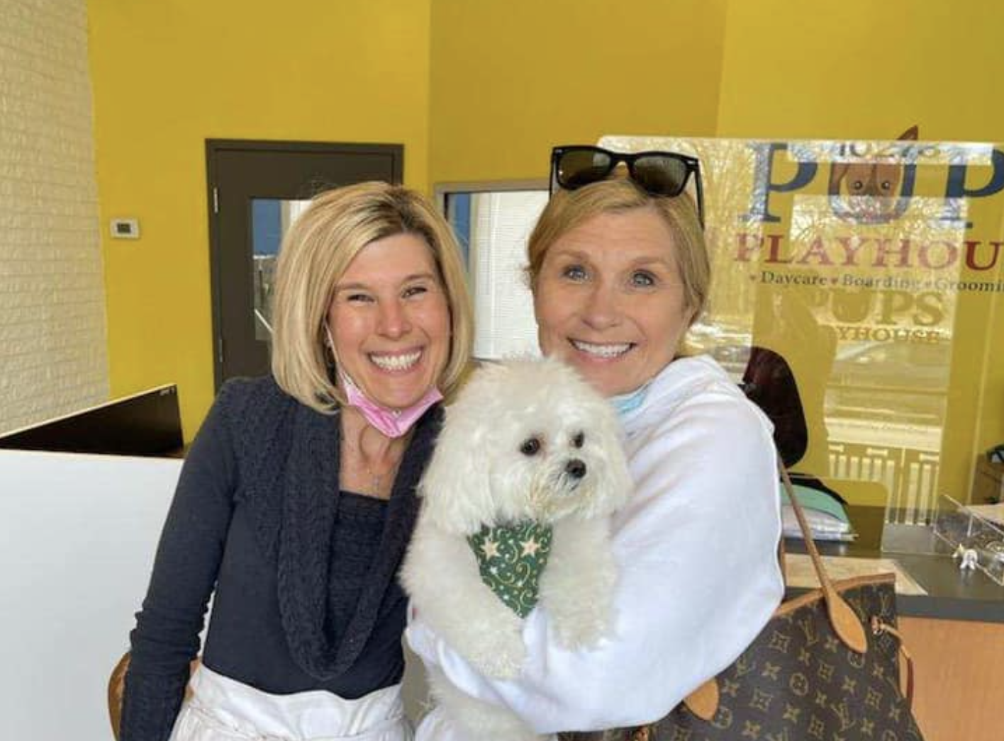 Customer Story How Pups Playhouse Found Its Stride With Gingr