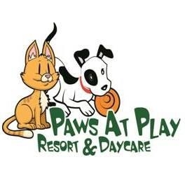 Paws at Play Resort & Daycare Streamlines with Gingr | Gingr