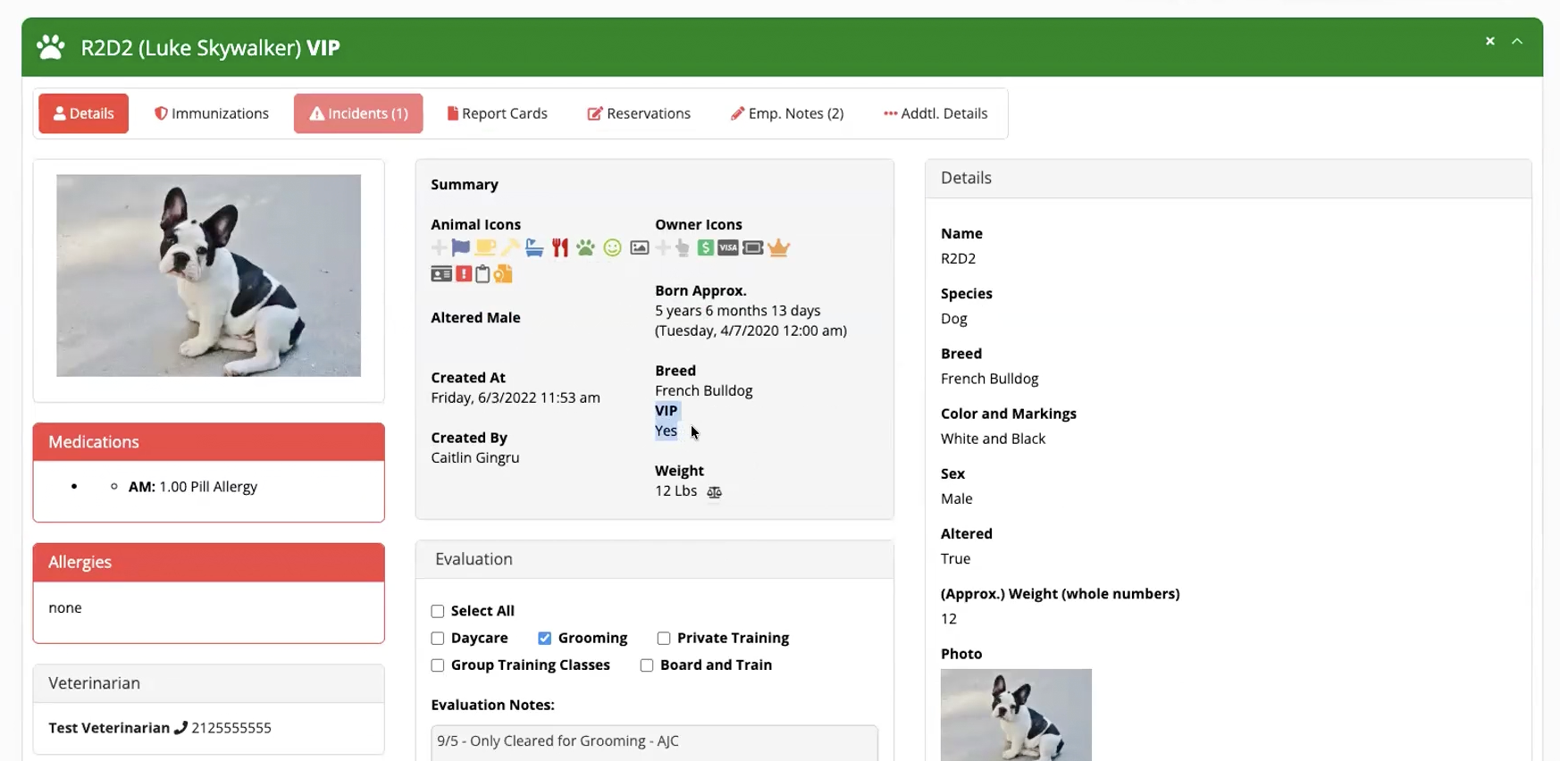 Webinar Recap: Managing Discounts & Promotions with Gingr